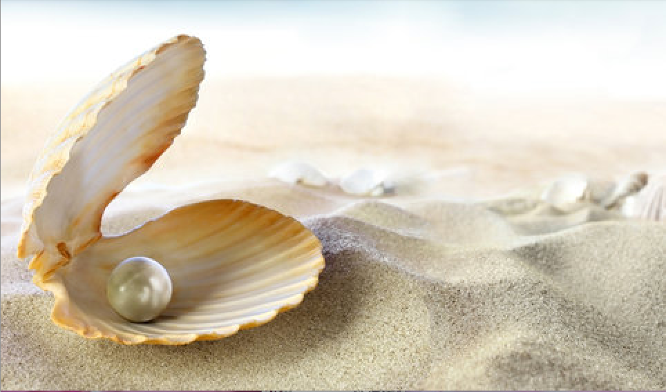 Sea pearl store